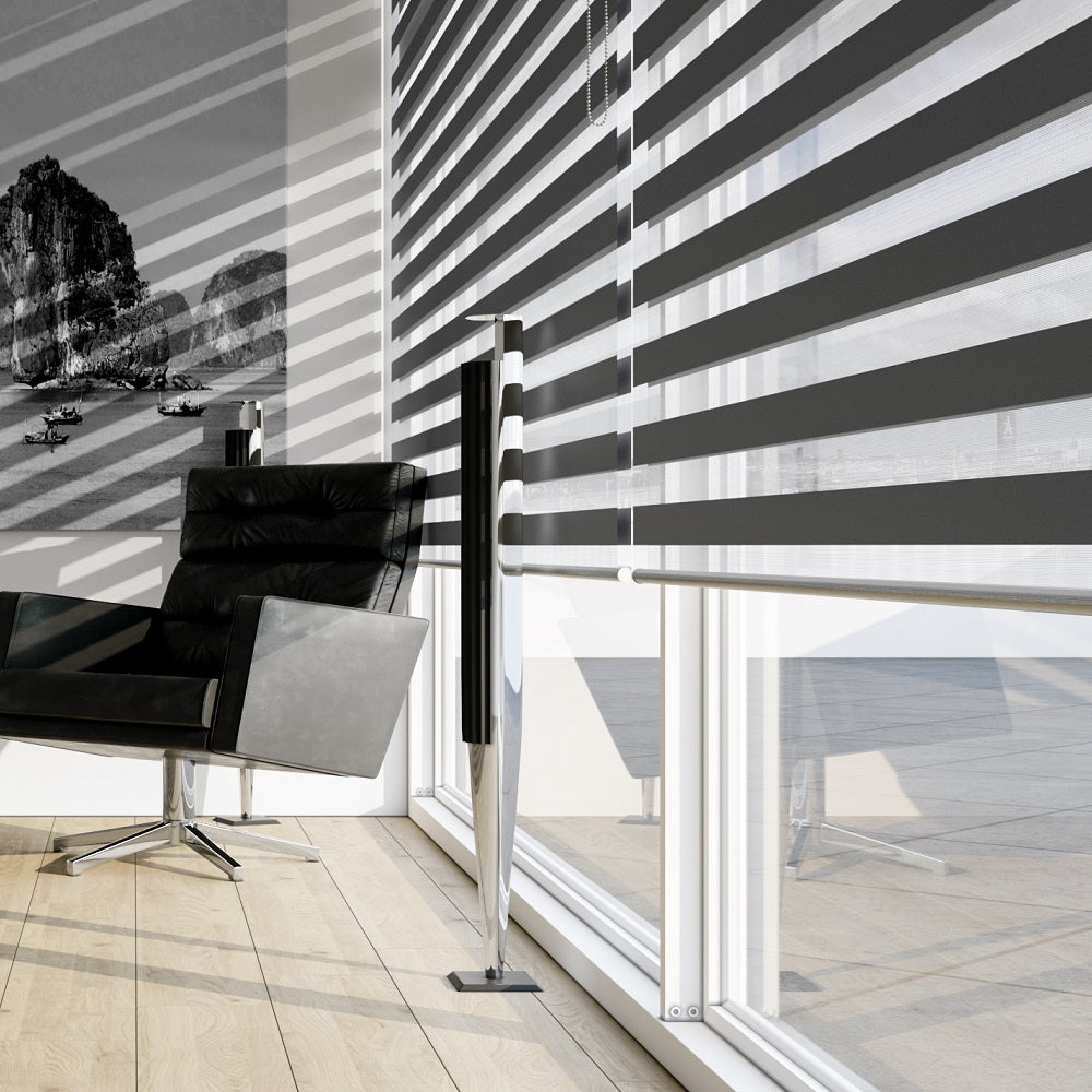Zebra Blinds