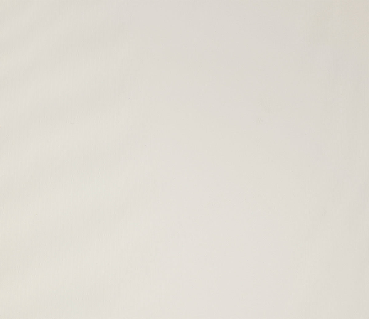 Roller Blinds Dim Out/ Translucent DO501